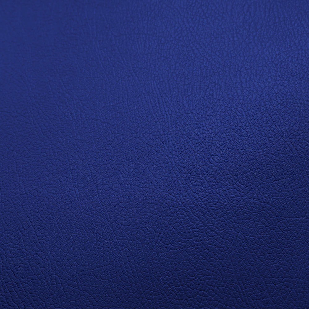 PARIS CENTAUR AZUL NAVY - Multitop
